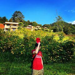 Siri Poom's Post|Lemon8