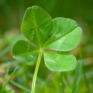 Th Pha's Post|Lemon8