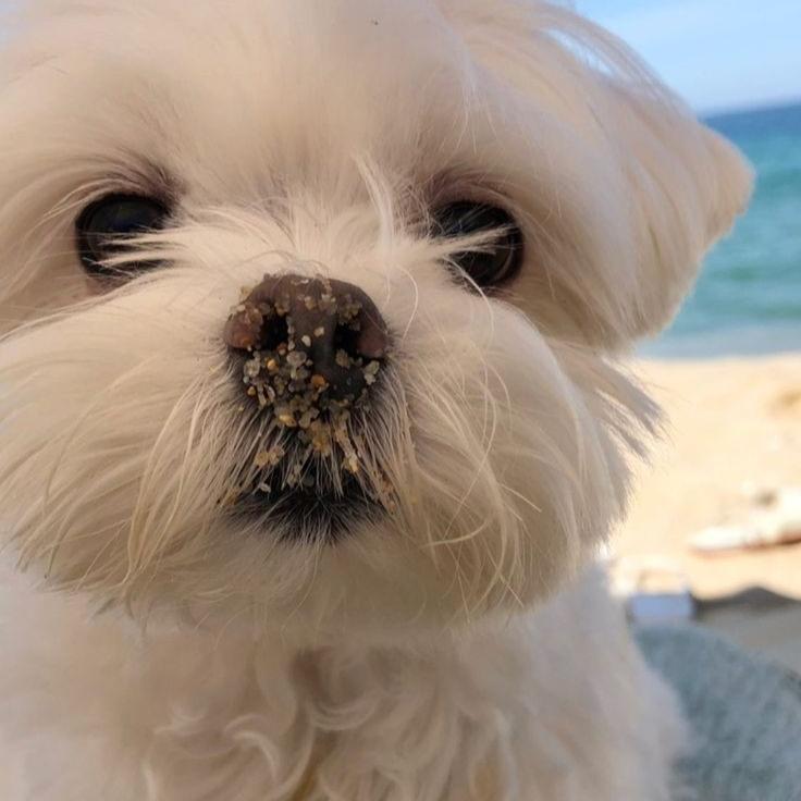 Mimim Mim's Post|Lemon8