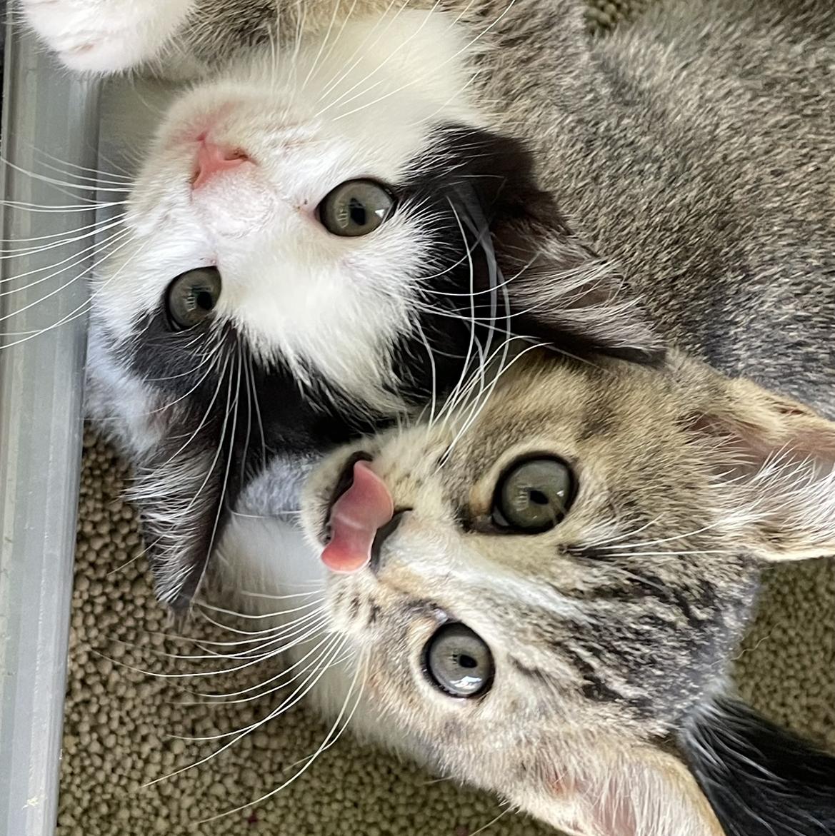 Spring 2023's Post|Lemon8