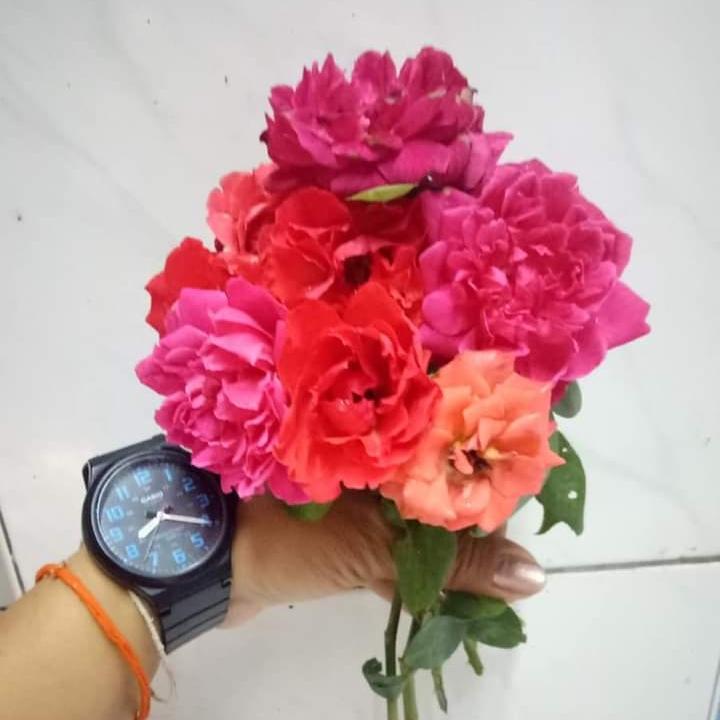 Bk happy's Post|Lemon8