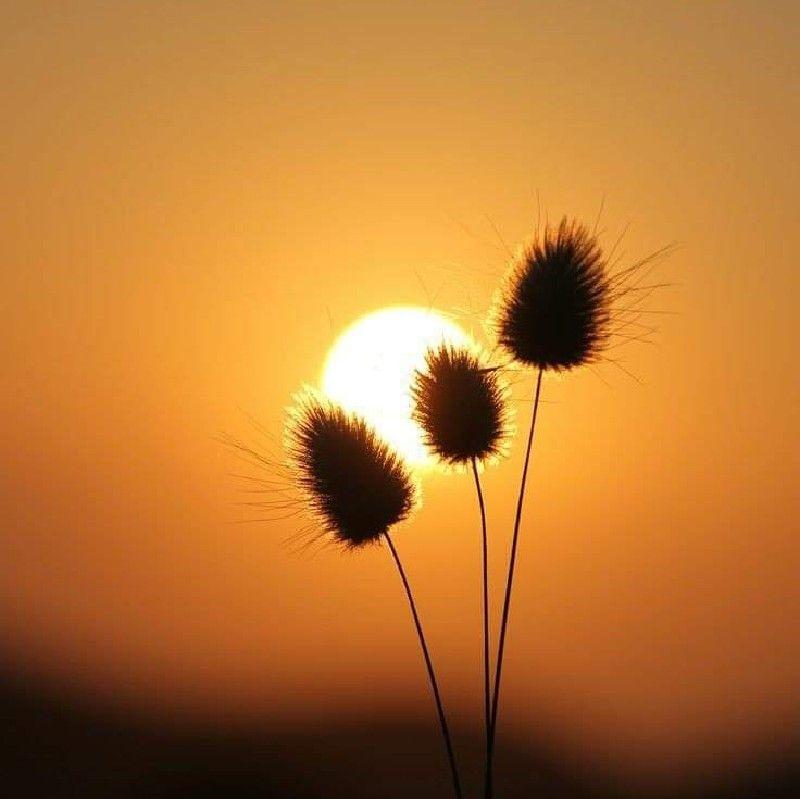 Mingkwan.P's Post|Lemon8