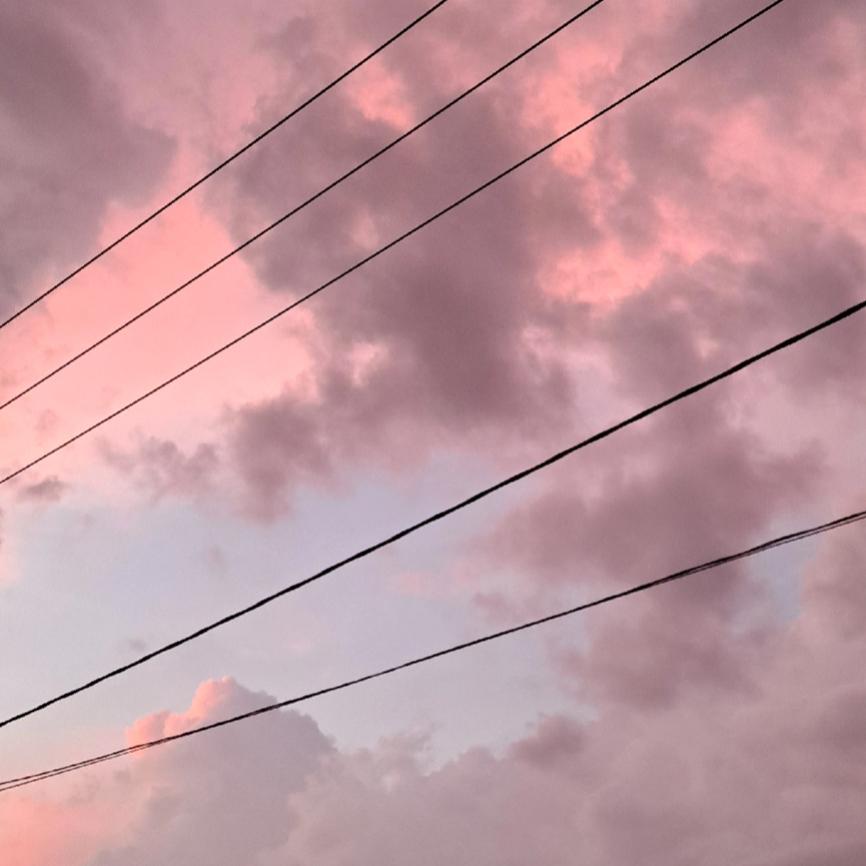 Ladybug's Post|Lemon8