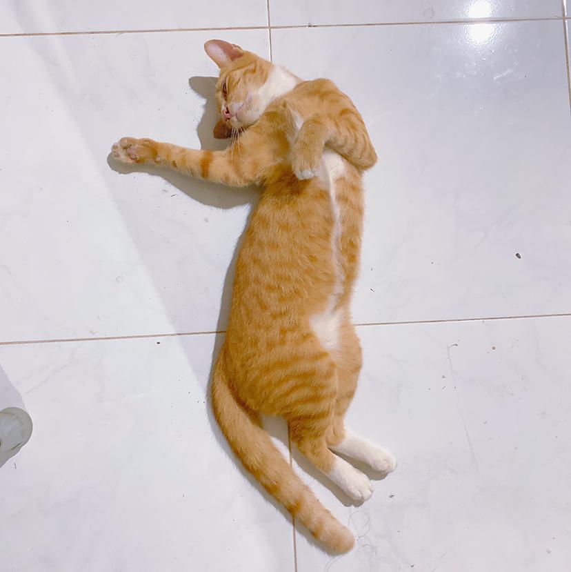 Howdy_Nida's Post|Lemon8