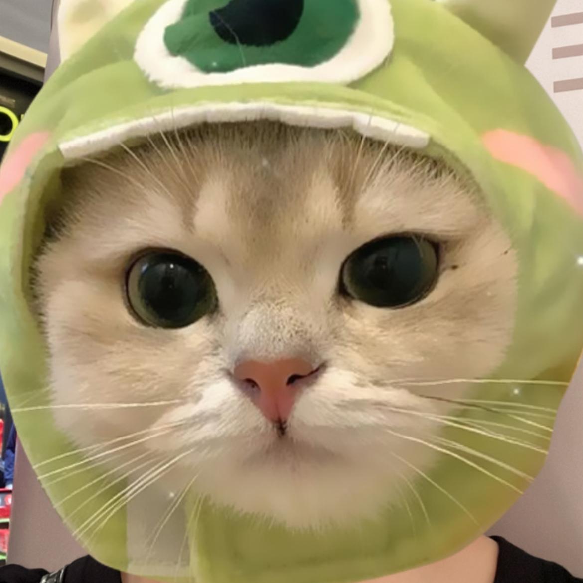 Pim phn's Post|Lemon8