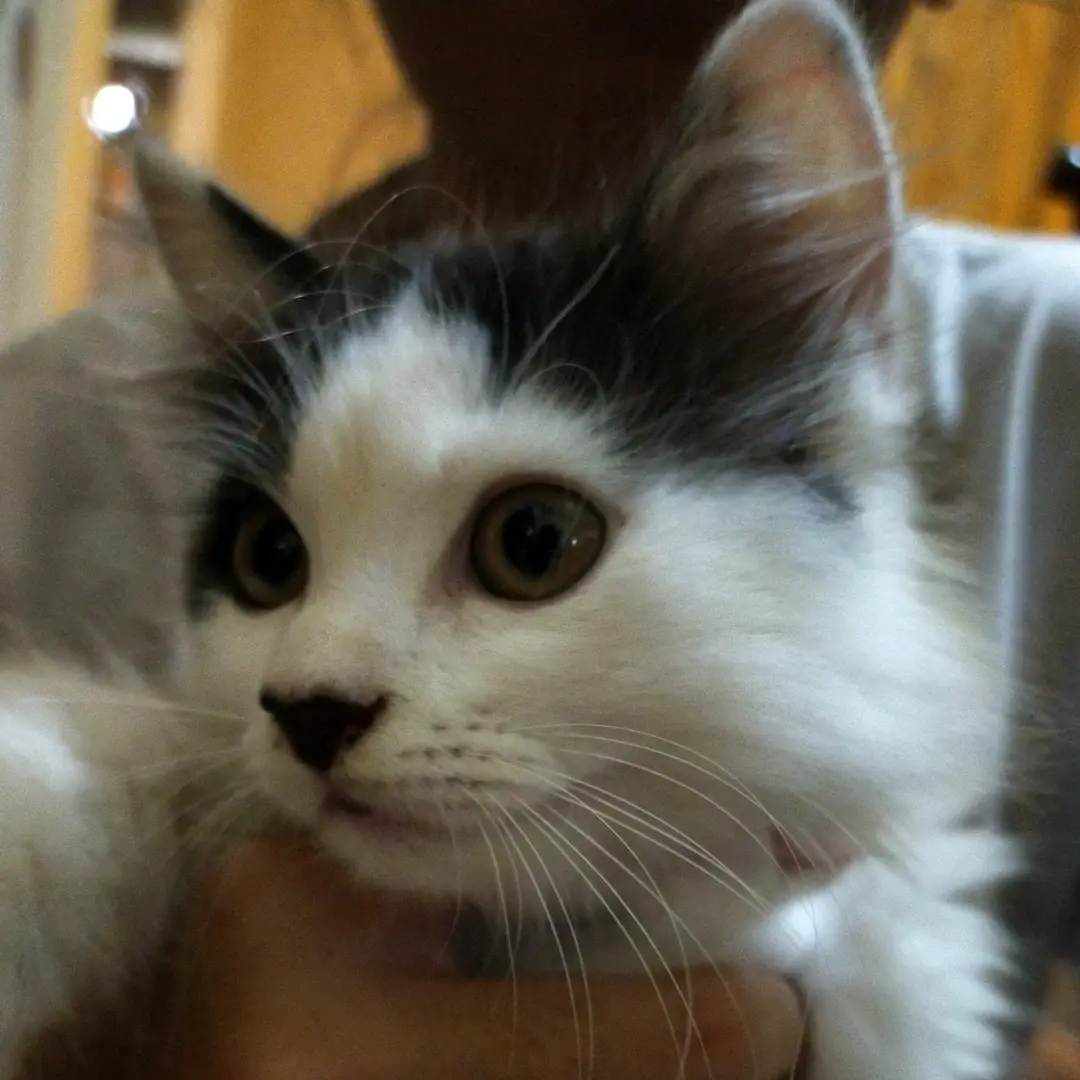 Sandy cantik's Post|Lemon8