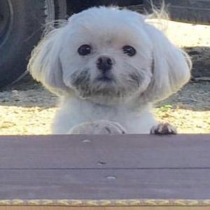 L!OinG's Post|Lemon8