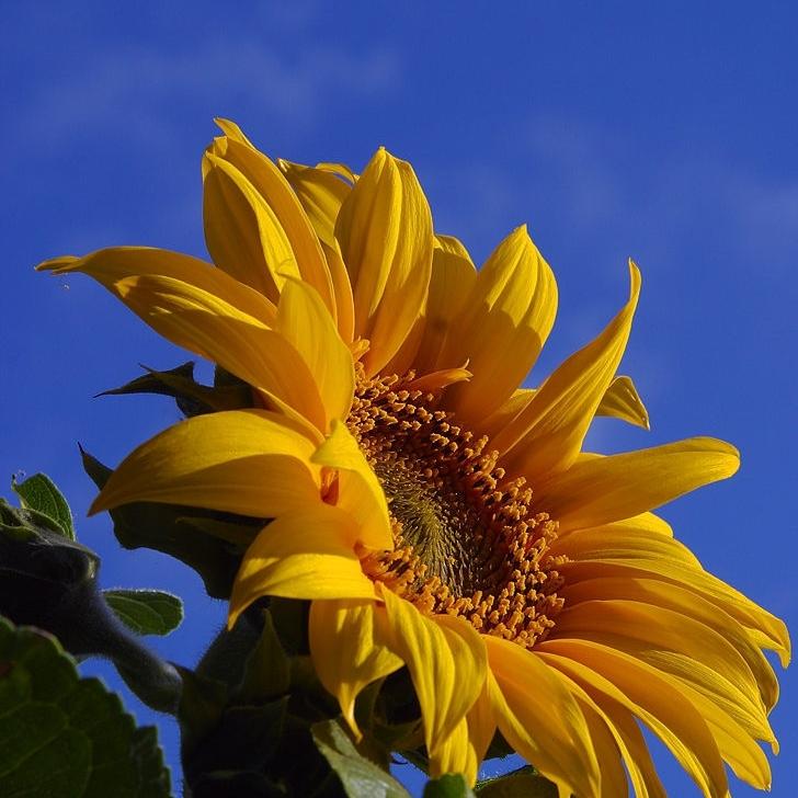 Adelia Lemo's Post|Lemon8