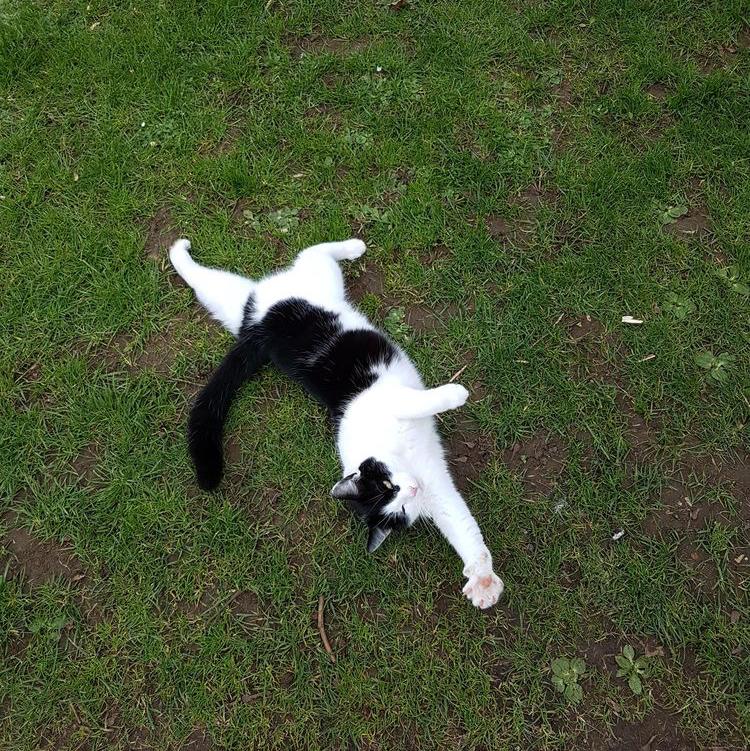 oum_pw's Post|Lemon8