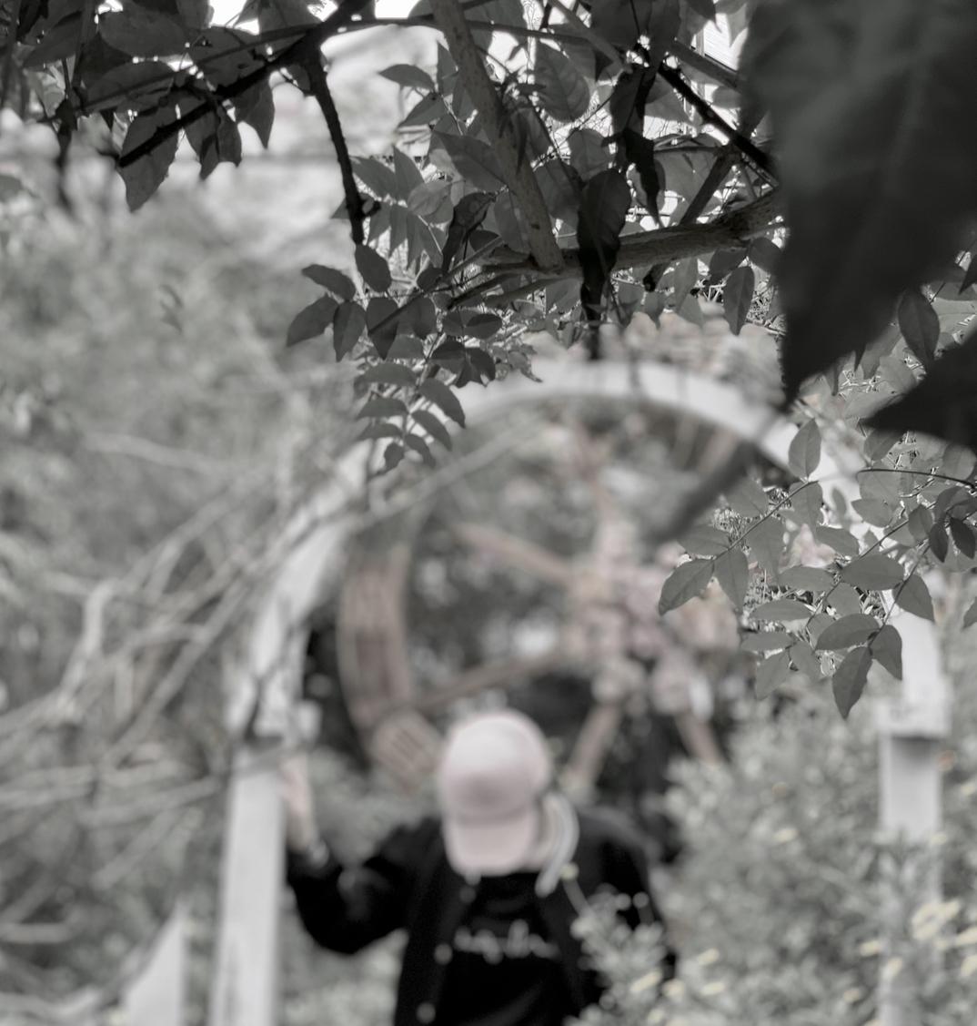 Tusie 🖤's Post|Lemon8