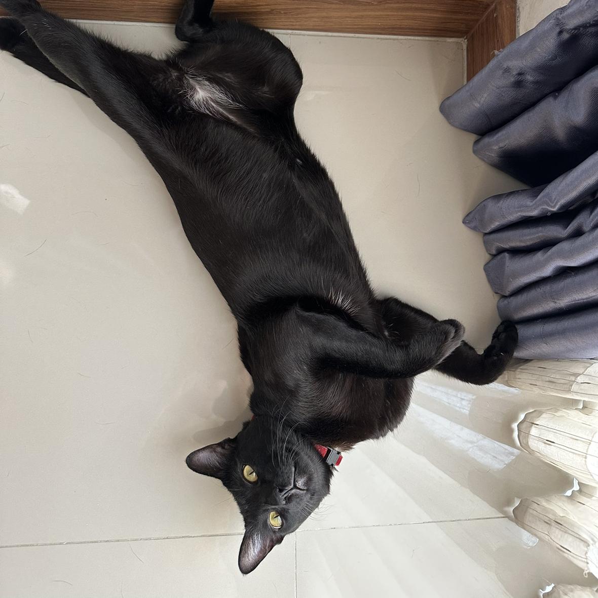 pai_story's Post|Lemon8