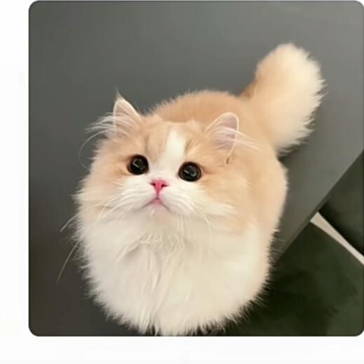 imim._.'s Post|Lemon8