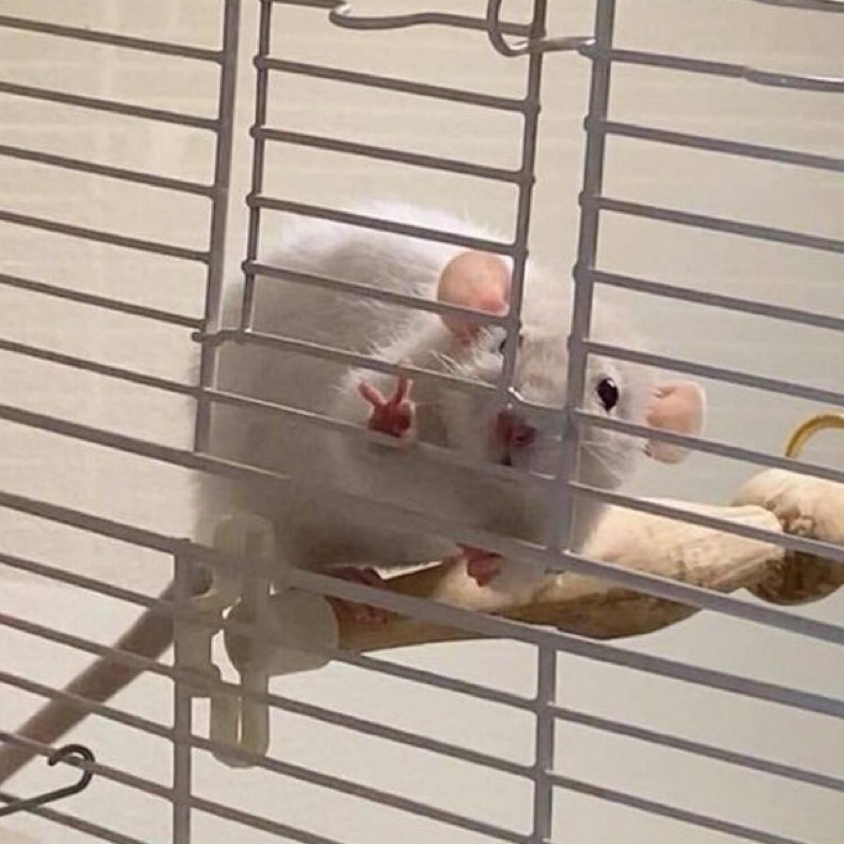 Me_Melon's Post|Lemon8