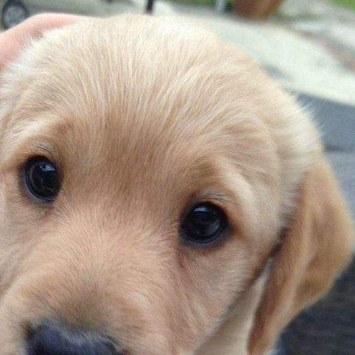 Minisky🌟's Post|Lemon8