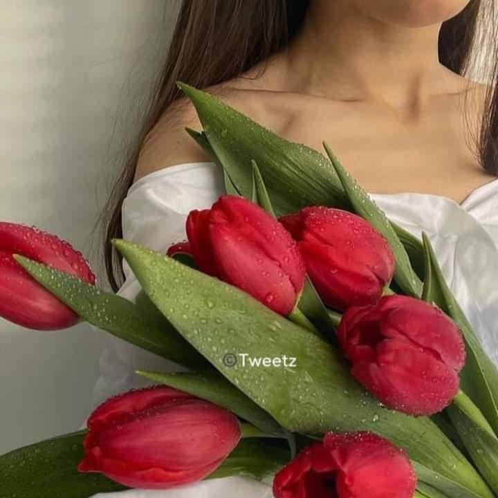 Waree Chyy's Post|Lemon8