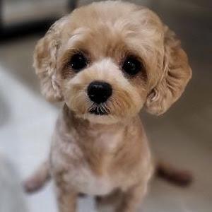 Tang Marble's Post|Lemon8