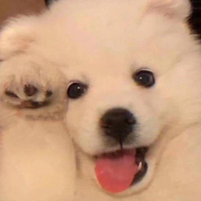 Boo-boo 's Post|Lemon8