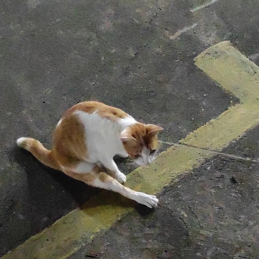 namtan's Post|Lemon8