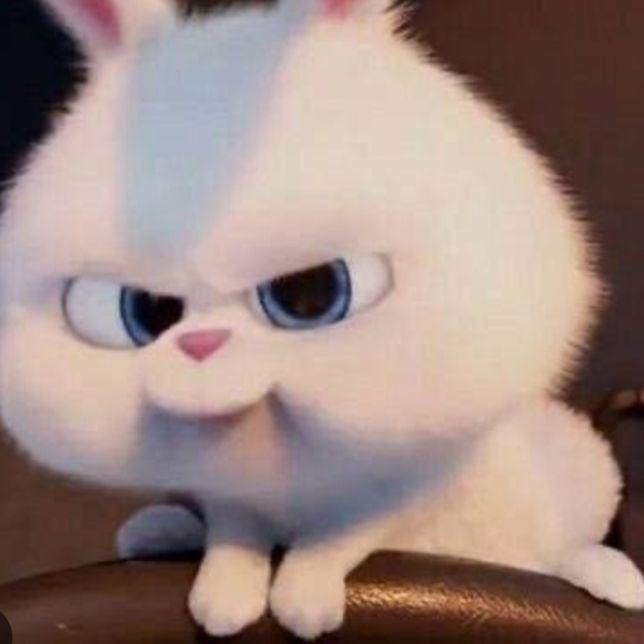 Chayanan yaimai's Post|Lemon8