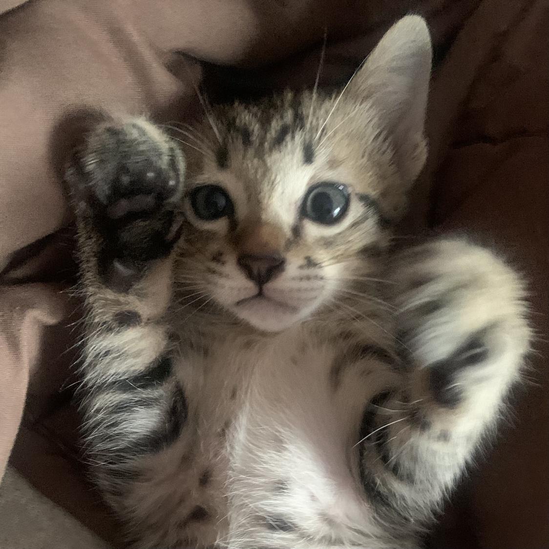 Maprang's Post|Lemon8