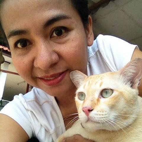 fonfon love cat's Post|Lemon8