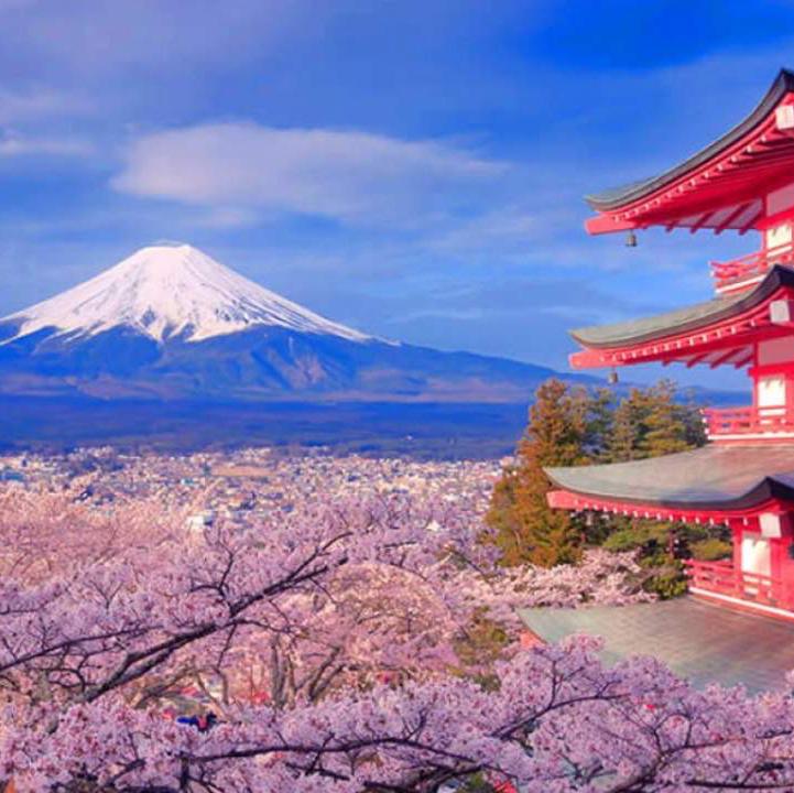 Tk 📷's Post|Lemon8