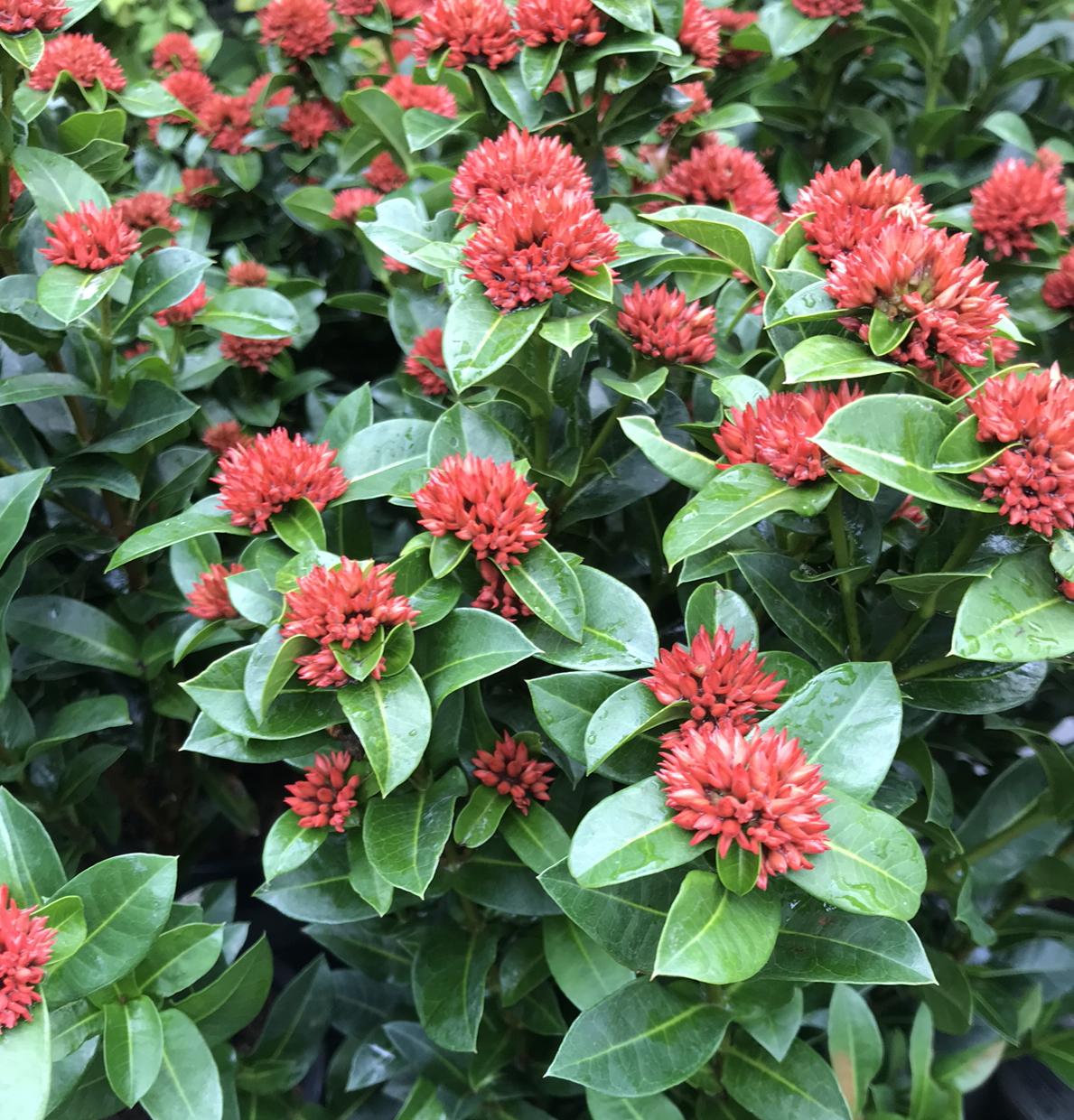 Sukanya Prajana's Post|Lemon8