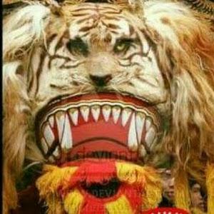 kyoko chan's Post|Lemon8