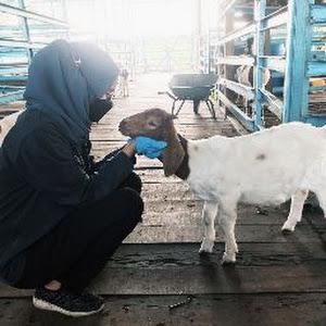 nurul asma's Post|Lemon8