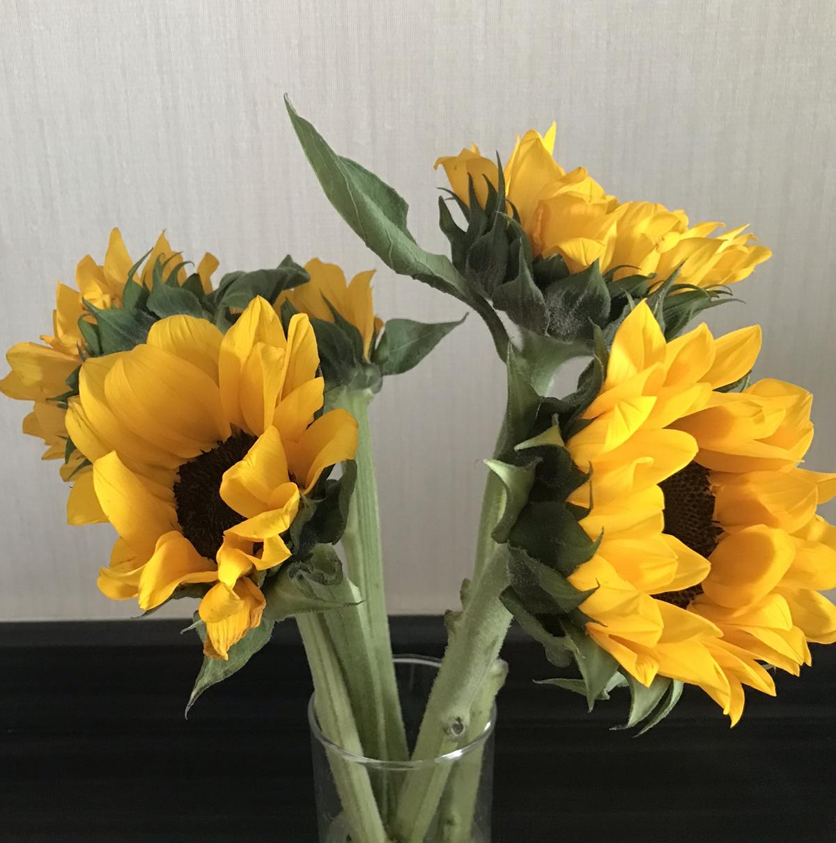 Sunshine baby ☼'s Post|Lemon8