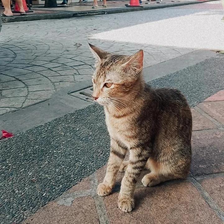 Jam Toh's Post|Lemon8