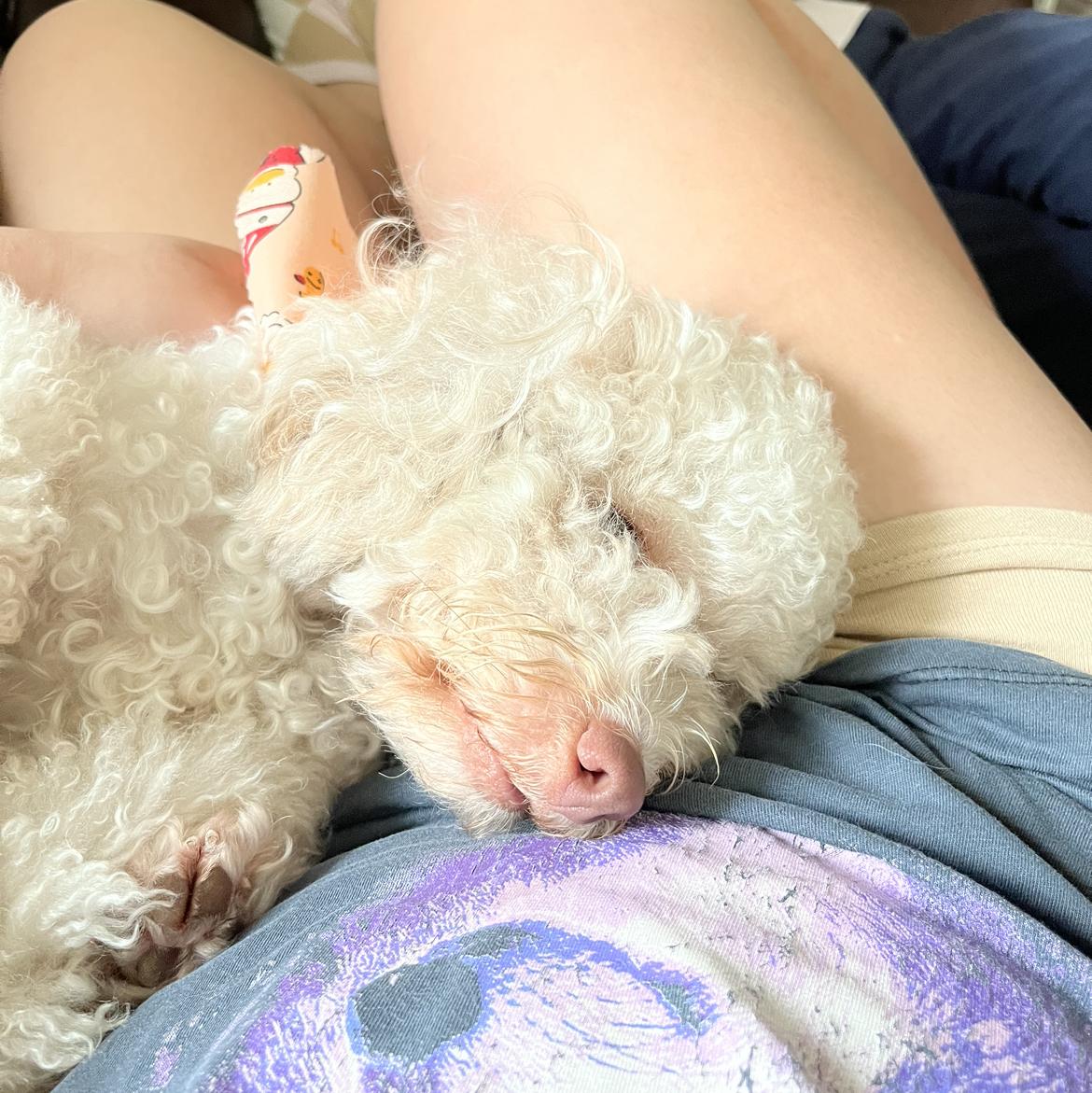 Mui mui's Post|Lemon8