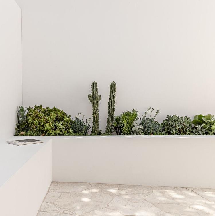 Ryu’s Home's Post|Lemon8