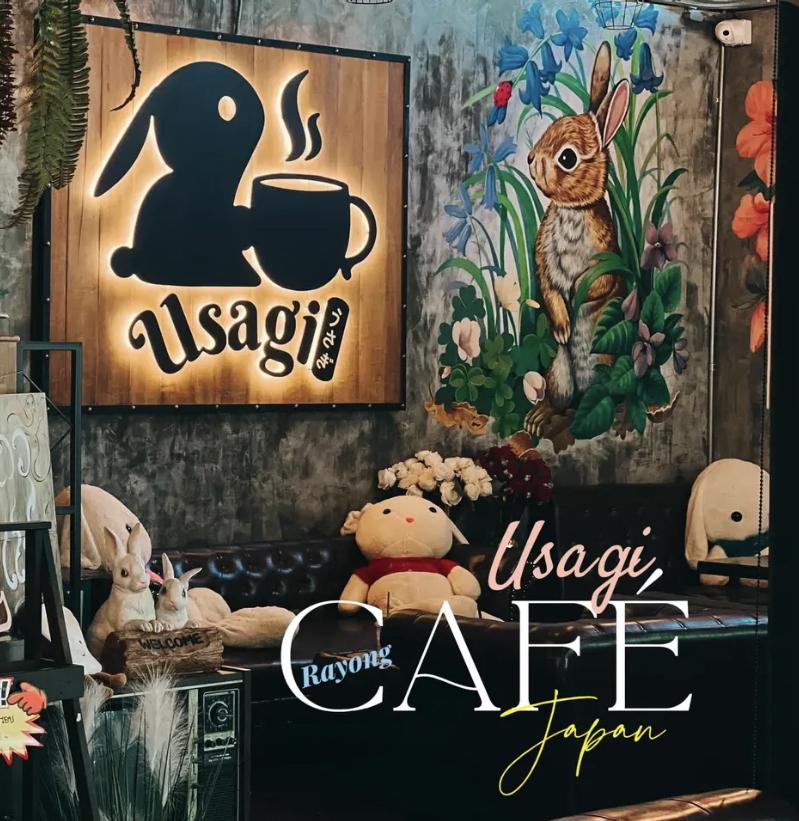 𝐔𝐬𝐚𝐠𝐢 -うさぎ 's Post|Lemon8