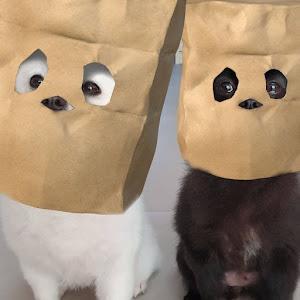 Phatsakorn Phim's Post|Lemon8