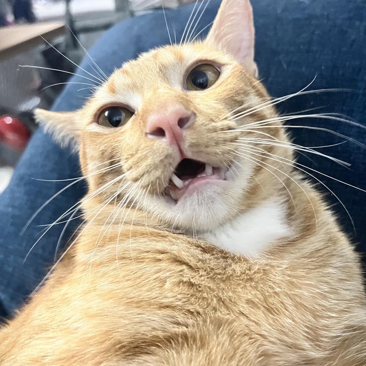 Jeans Yeen's Post|Lemon8