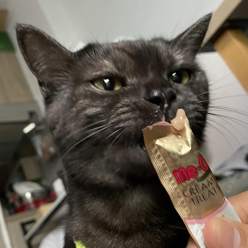 Koko rii's Post|Lemon8