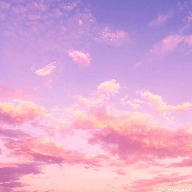 Napatsorn's Post|Lemon8