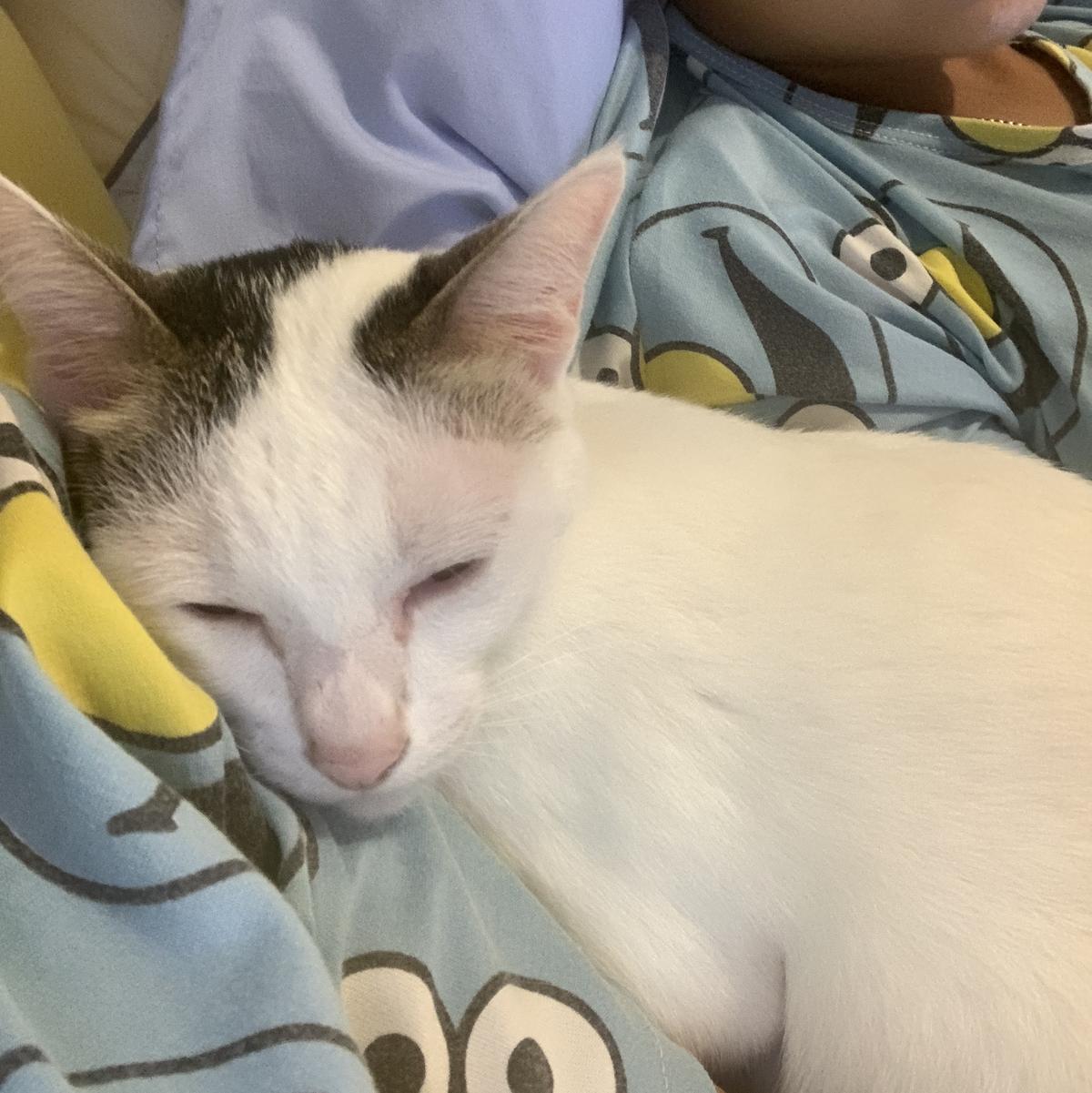 Patrada Guntasr's Post|Lemon8