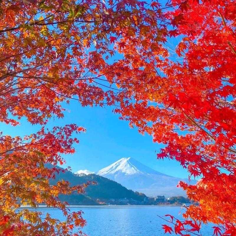 Natchaya_momo's Post|Lemon8