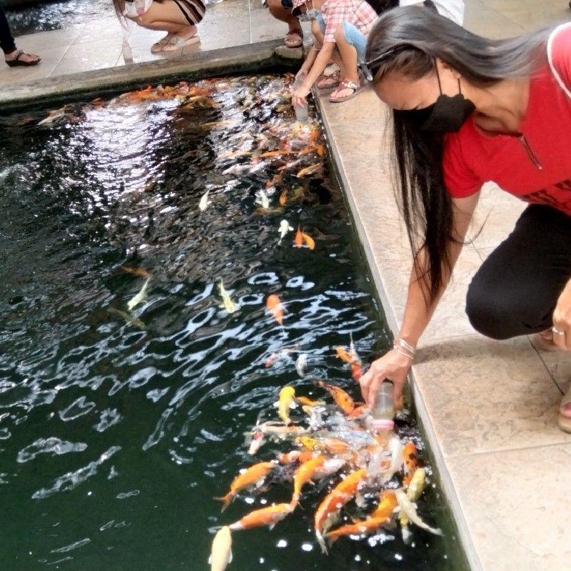 Tay Ratchanee's Post|Lemon8