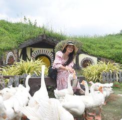 Jumjim Tera's Post|Lemon8