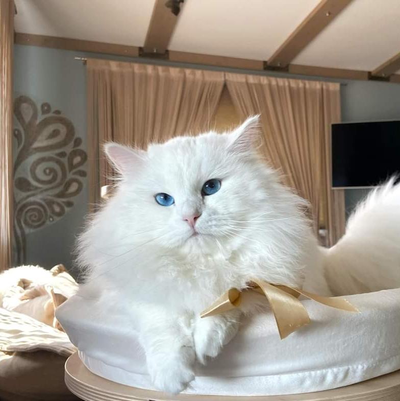 Winter Gem's Post|Lemon8