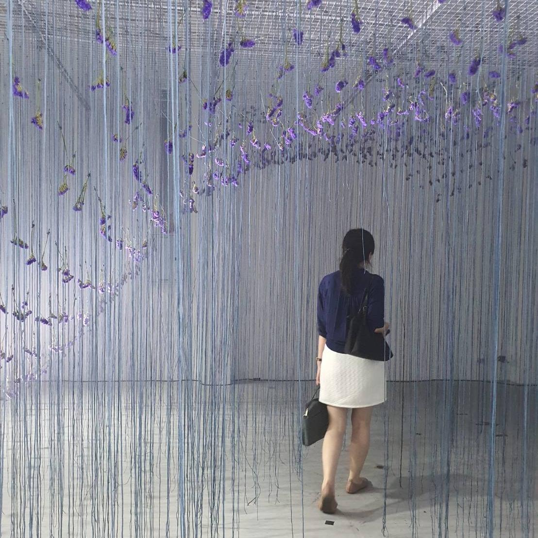 Grace.smbs's Post|Lemon8