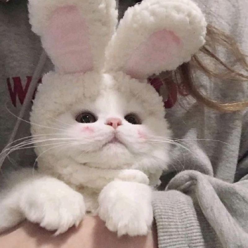 zhi zhi's Post|Lemon8