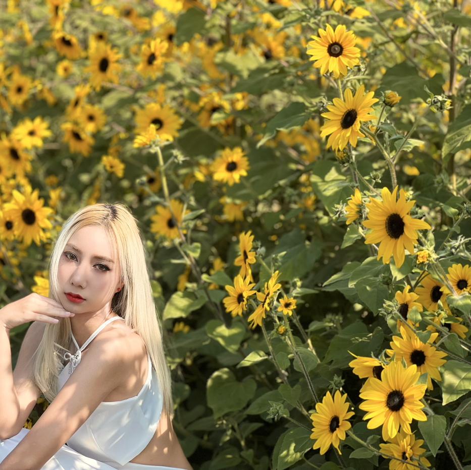 Saiparn chapus's Post|Lemon8