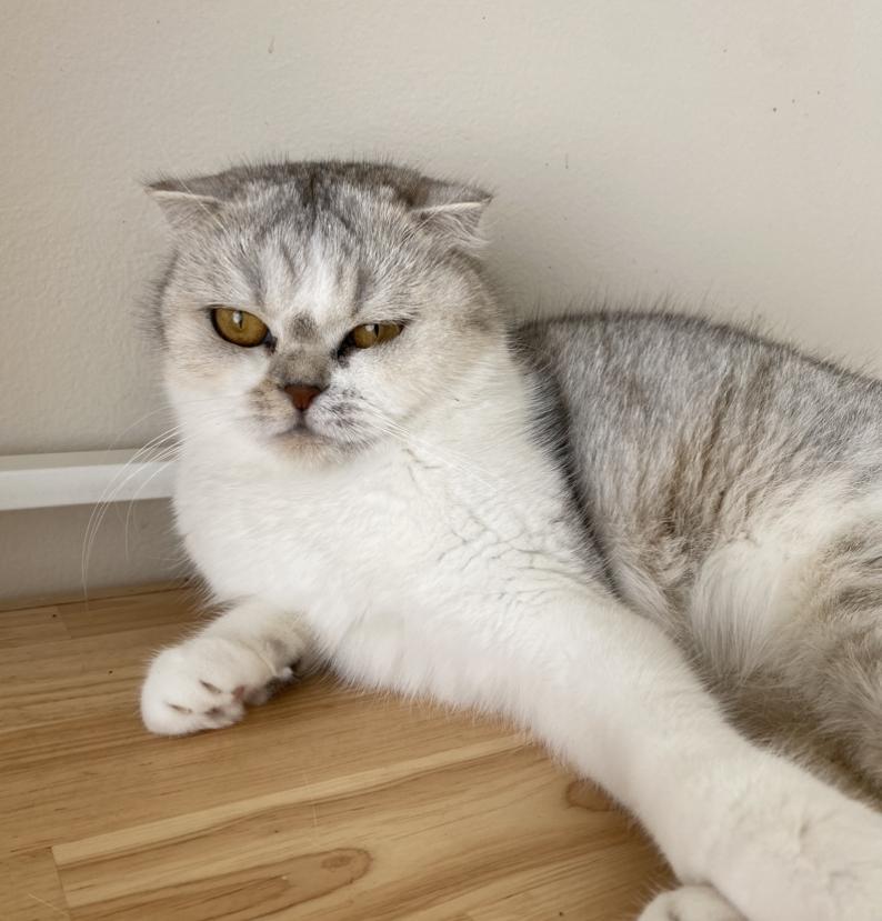 Fair.bb's Post|Lemon8