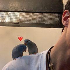 Kasidit Supanan's Post|Lemon8