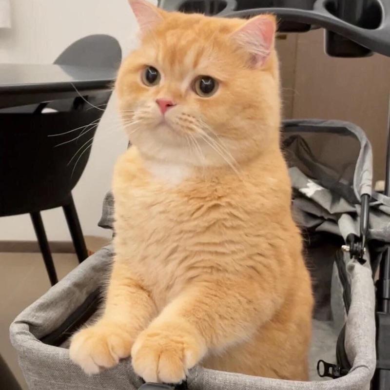 Nutty _Nutty's Post|Lemon8