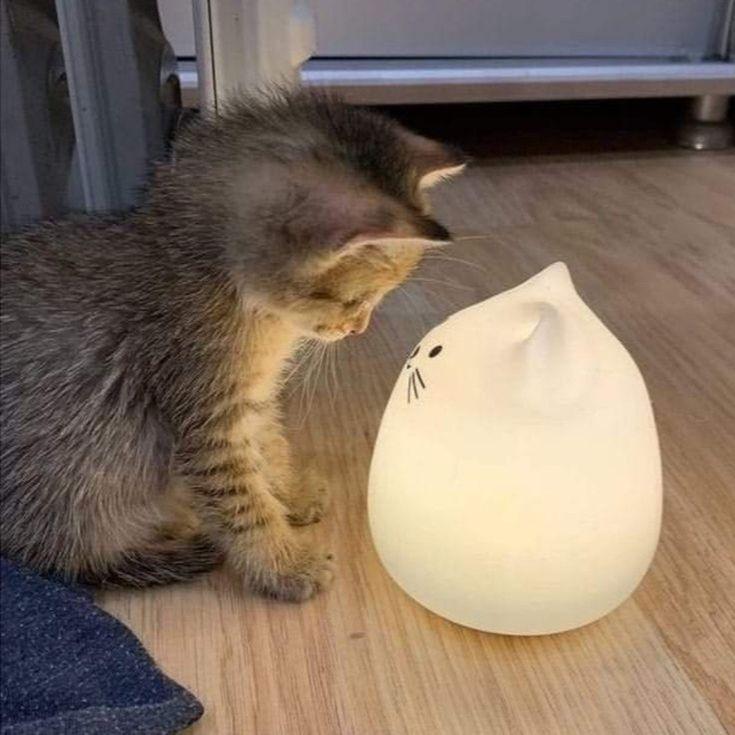 Thitiworada Won's Post|Lemon8